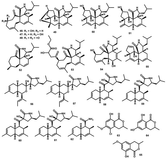 The Chemistry and Pharmacology of Fungal Genus Periconia: A Review