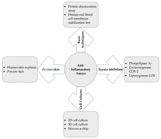 In Vitro and Ex Vivo Models for Screening Topical Anti-Inflammatory Drugs