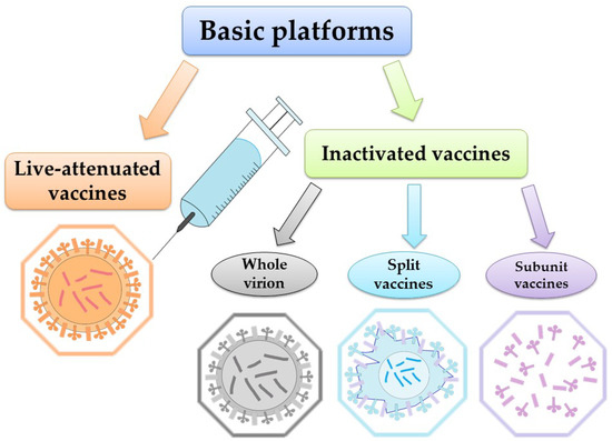 New Advances and Perspectives of Influenza Prevention: Current State of ...