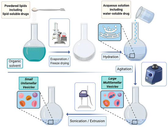 Drug Delivery Nano-Platforms for Advanced Cancer Therapy