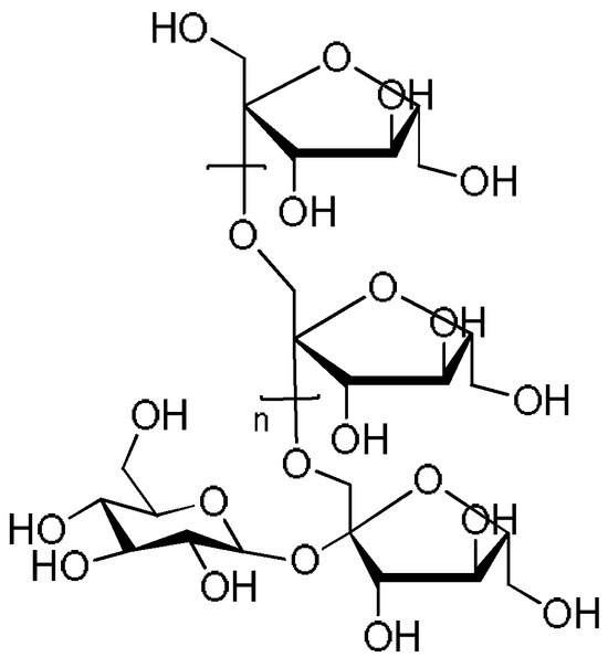 Medicinal Use of Chicory (Cichorium intybus L.)
