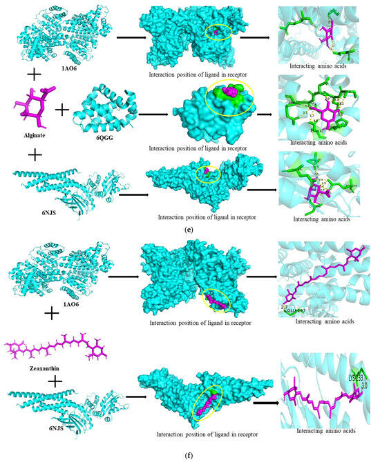 A Network Pharmacology and Molecular Docking Technology to Identify and ...