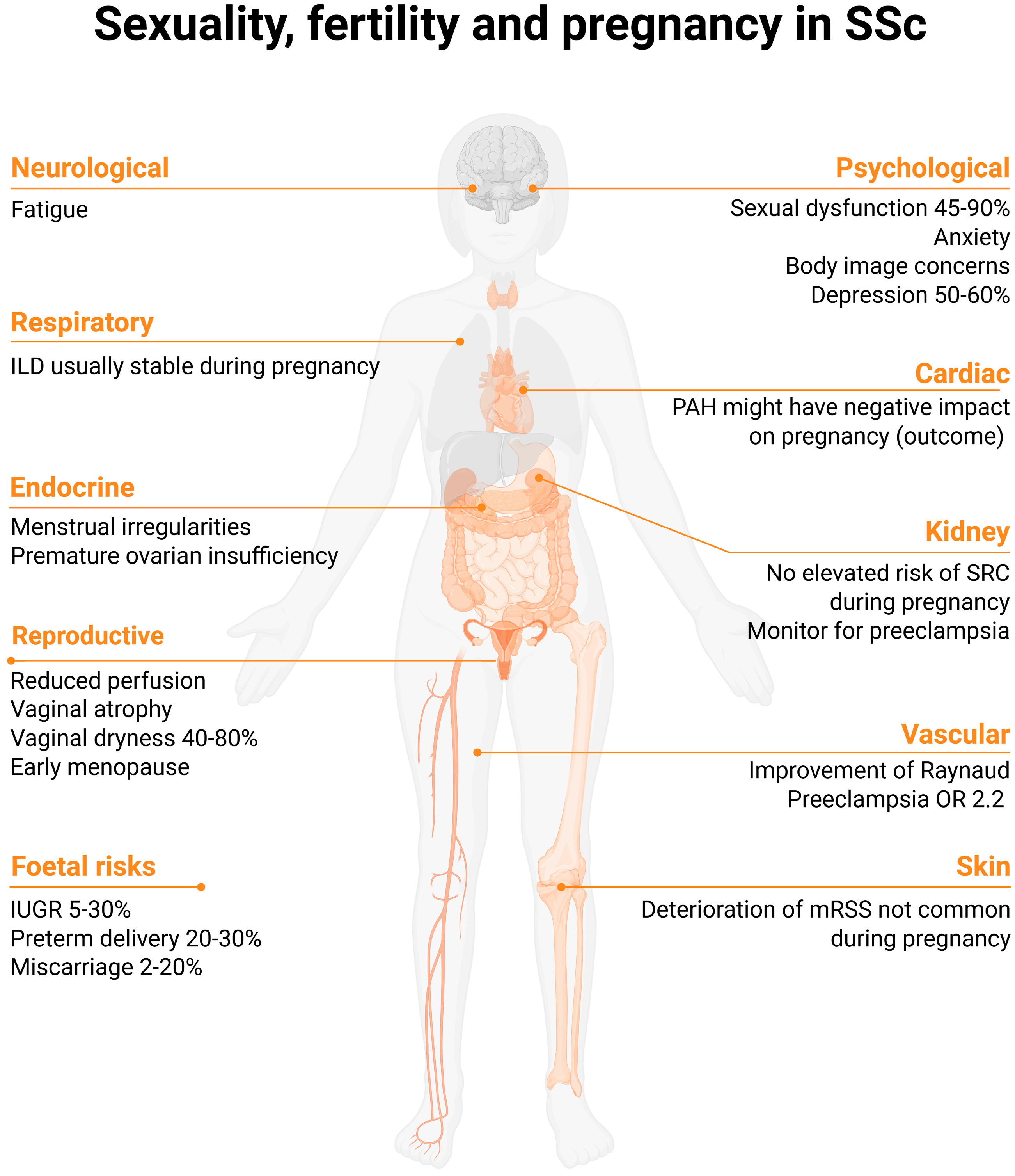Systemic Sclerosis in Women—Impact on Sexuality, Fertility, Pregnancy, and Menopause