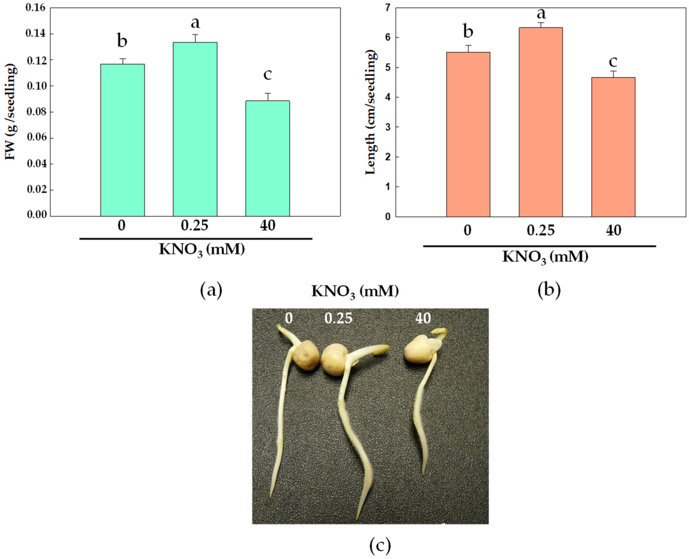 Potassium Nitrate Treatment Is Associated with Modulation of Seed Water Uptake, Antioxidative ...