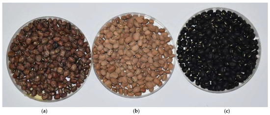 Variation of Seed Traits and Initial Quality among Selected Cowpea ...