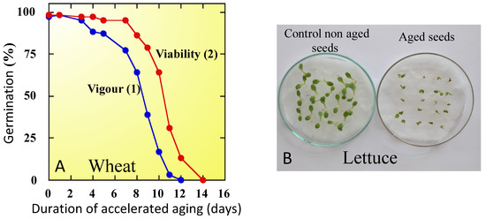 Seeds | Free Full-Text | The Effects of Storage Conditions on Seed Deterioration and Ageing: How ...