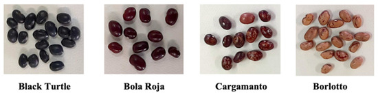 Seeds | Free Full-Text | Enhancing Bean (Phaseolus vulgaris L ...