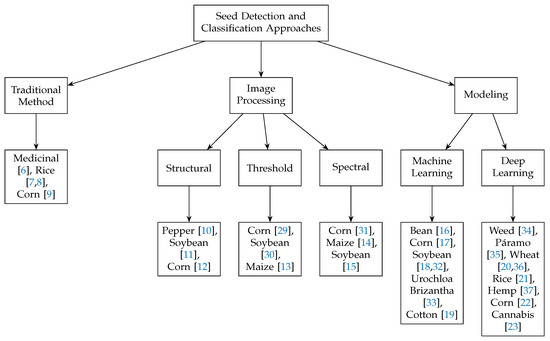 Seeds | Free Full-Text | Detection and Classification of Cannabis Seeds Using RetinaNet and ...