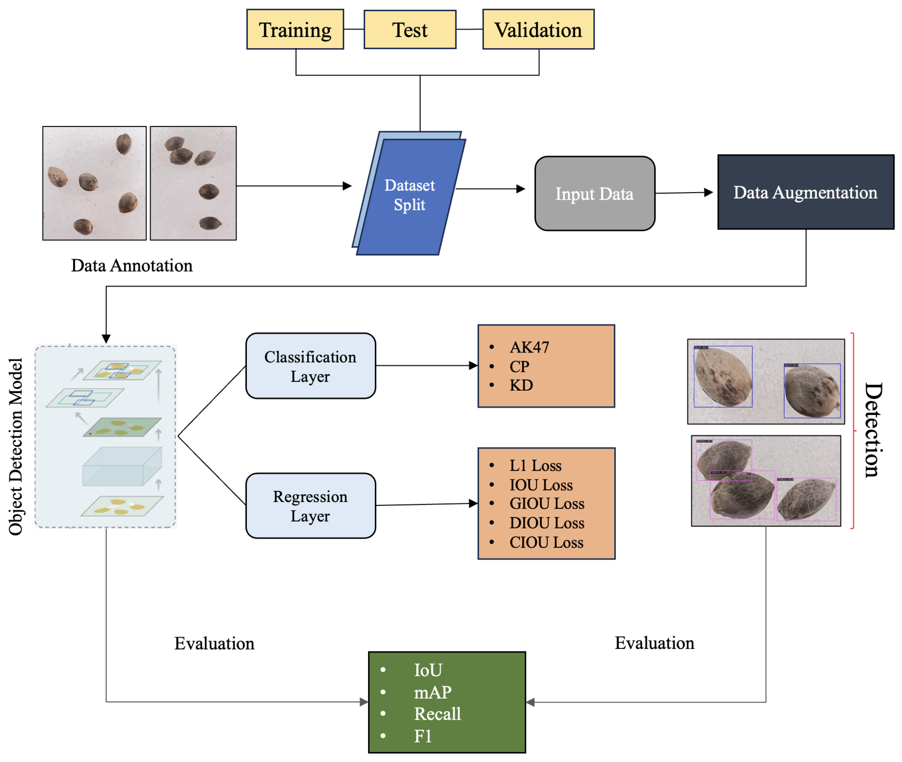 Seeds | Free Full-Text | Detection and Classification of Cannabis Seeds Using RetinaNet and ...