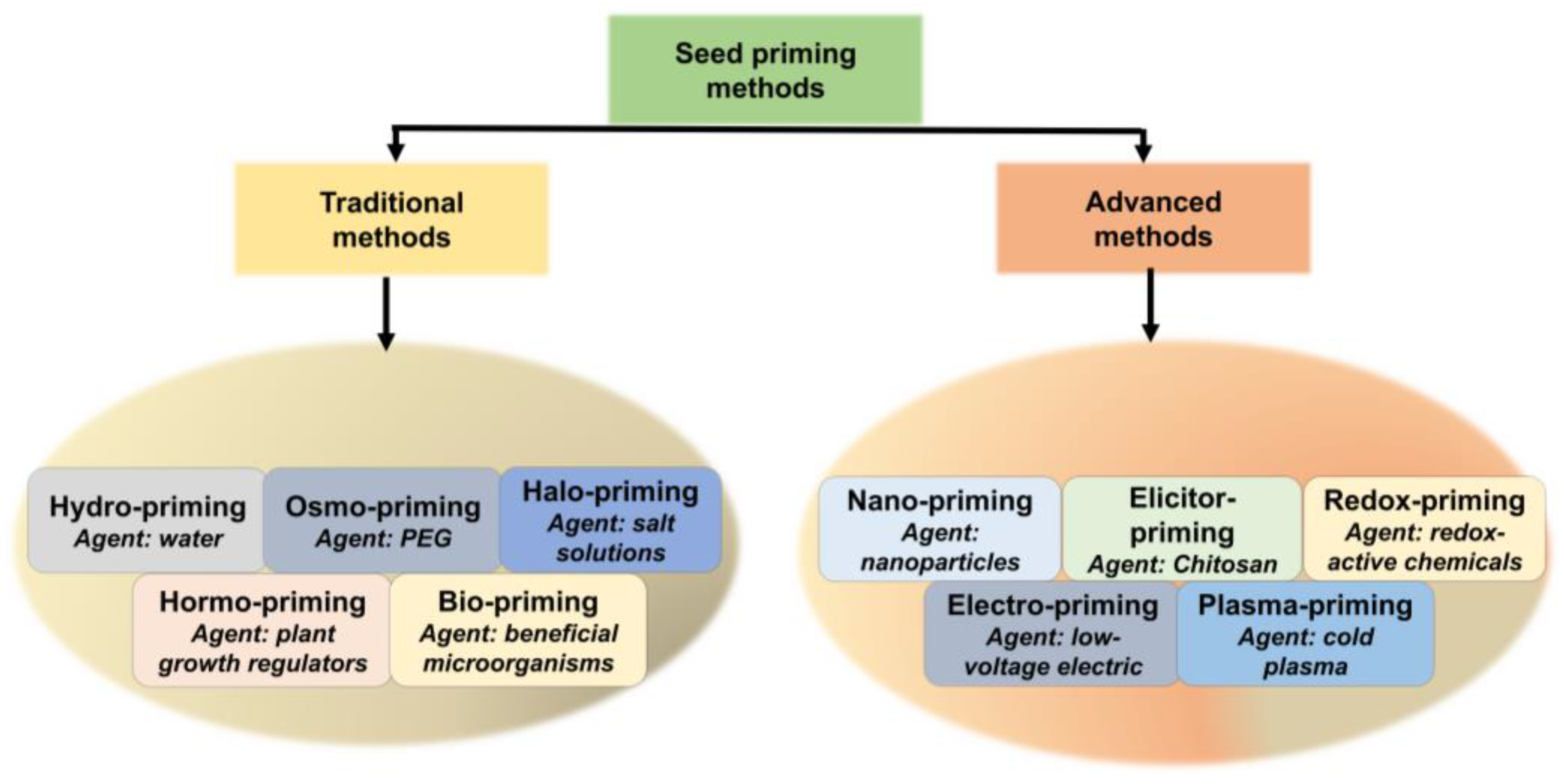 Seed Priming Before the Sprout: Revisiting an Established Technique for Stress-Resilient Germination