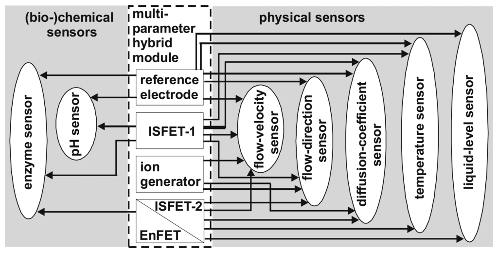 “Playing around” with Field-Effect Sensors on the Basis of EIS ...