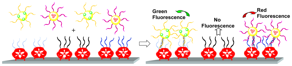Uses of Dendrimers for DNA Microarrays