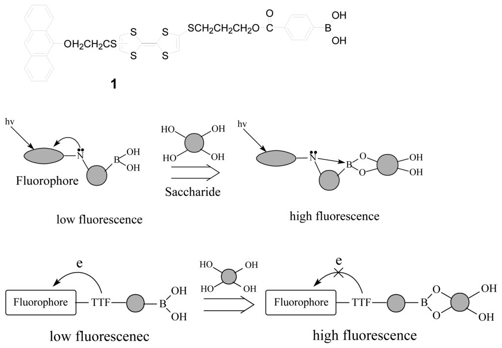 A New Saccharides and Nnucleosides Sensor Based on Tetrathiafulvalene ...