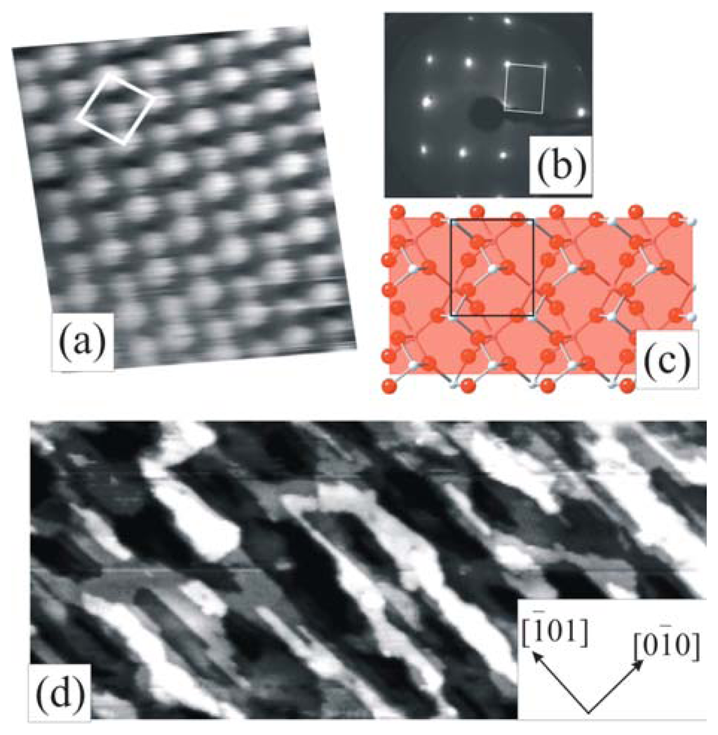 Surface Science Studies of Gas Sensing Materials: SnO2