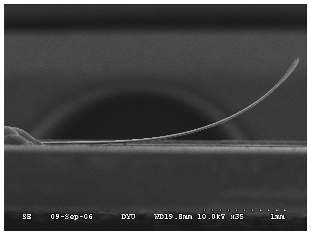A MEMS-based Air Flow Sensor with a Free-standing Micro-cantilever Structure