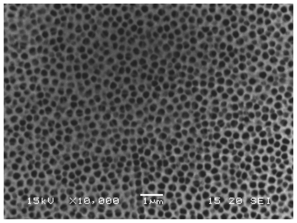 Monitoring Transport Across Modified Nanoporous Alumina Membranes
