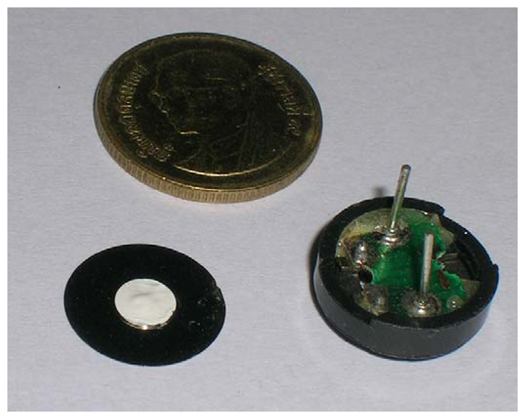 Sensors | Free Full-Text | Design Considerations for Aural Vital Signs ...