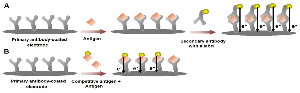 An Overview of Label-free Electrochemical Protein Sensors