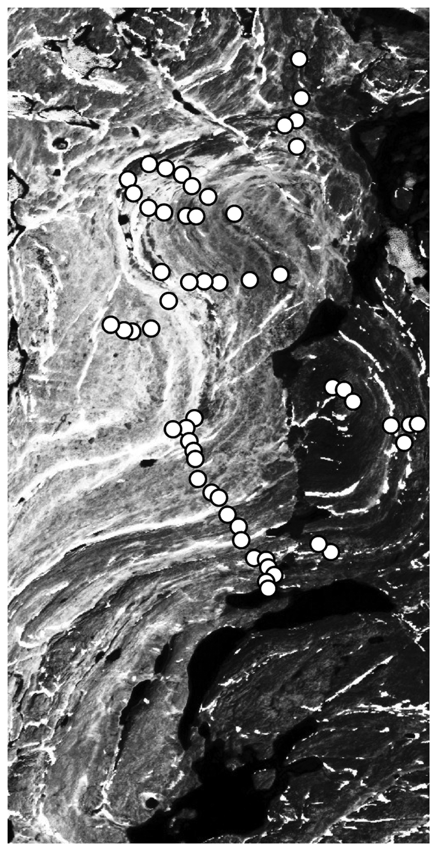 Sensors | Free Full-Text | The Successive Projection Algorithm (SPA), an Algorithm with a ...