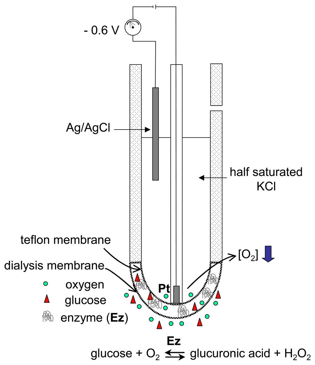 Sensors | Free Full-Text | Assembling Amperometric Biosensors for Clinical Diagnostics