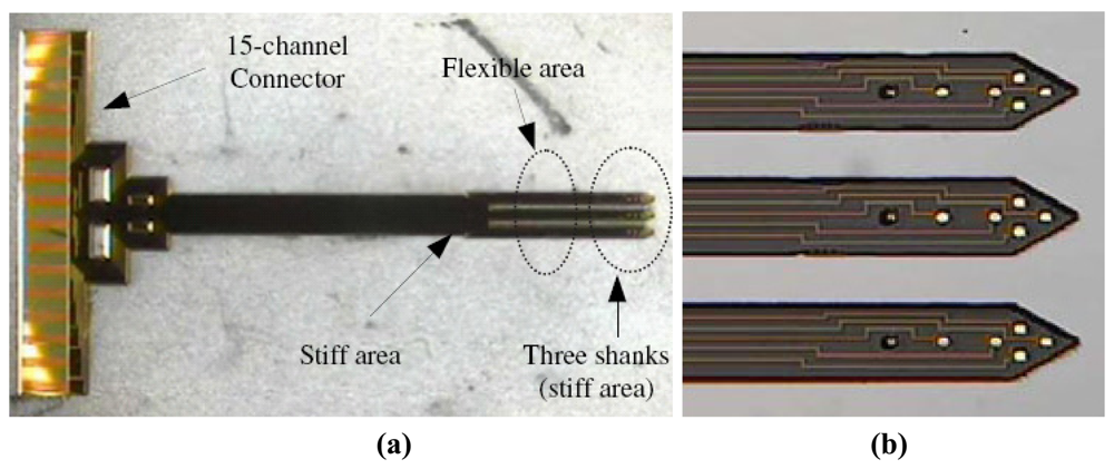 NeuroMEMS: Neural Probe Microtechnologies