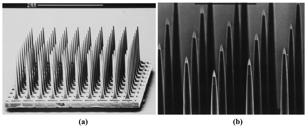 NeuroMEMS: Neural Probe Microtechnologies