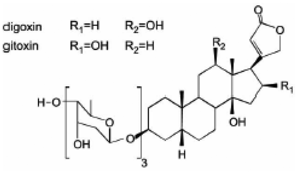 Sensors | Free Full-Text | Na+,K+-ATPase as the Target Enzyme for ...