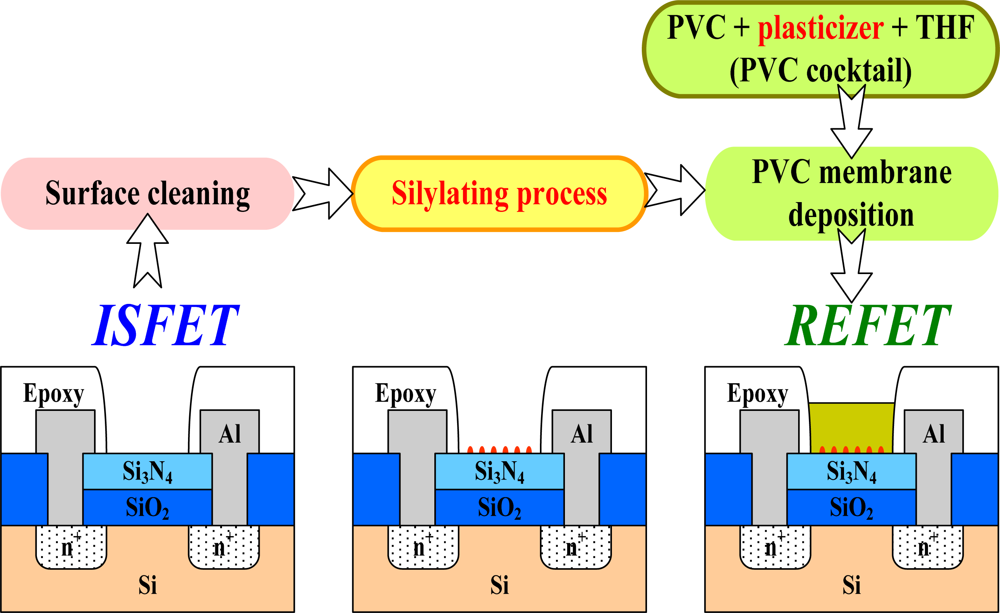 Optimization of a PVC Membrane for Reference Field Effect Transistors