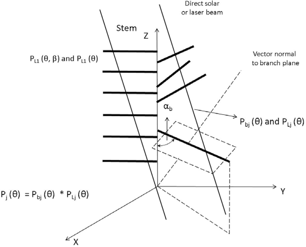 Retrieving Leaf Area Index (LAI) Using Remote Sensing: Theories, Methods and Sensors