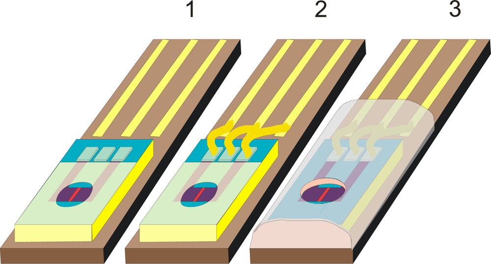 Photocurable Polymers for Ion Selective Field Effect Transistors. 20 ...