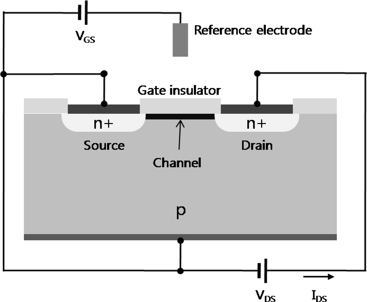 Sensors | Free Full-Text | Ion-Sensitive Field-Effect Transistor for Biological Sensing