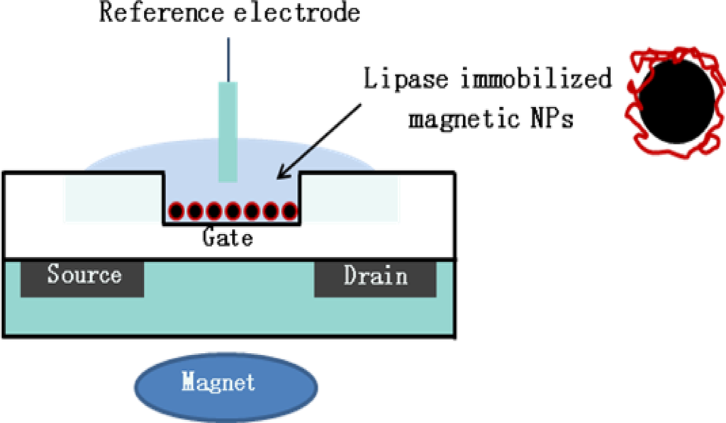 Ion-Sensitive Field-Effect Transistor for Biological Sensing