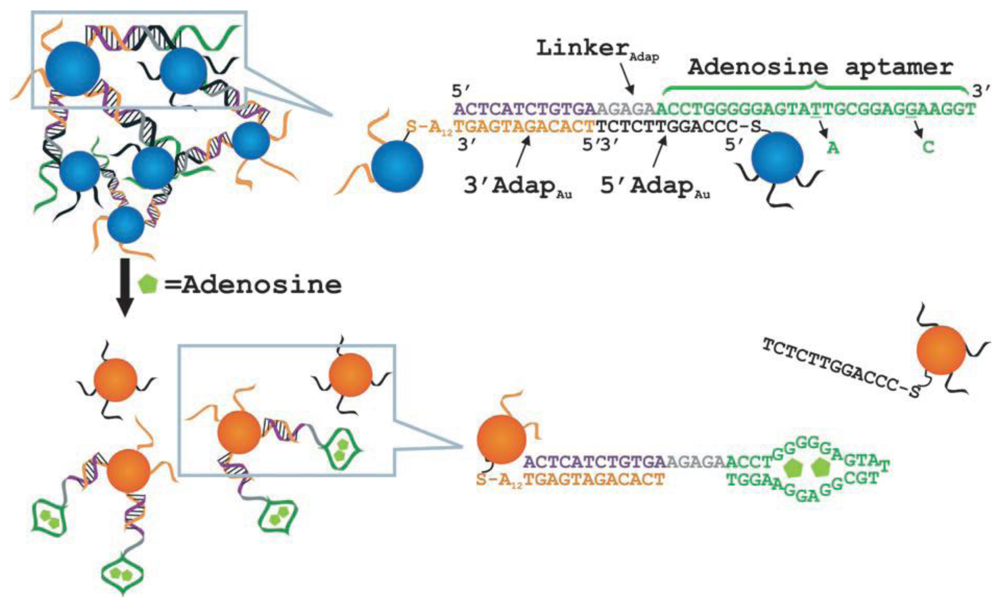 Sensors Free Full Text Aptamer Functionalized Nano Biosensors