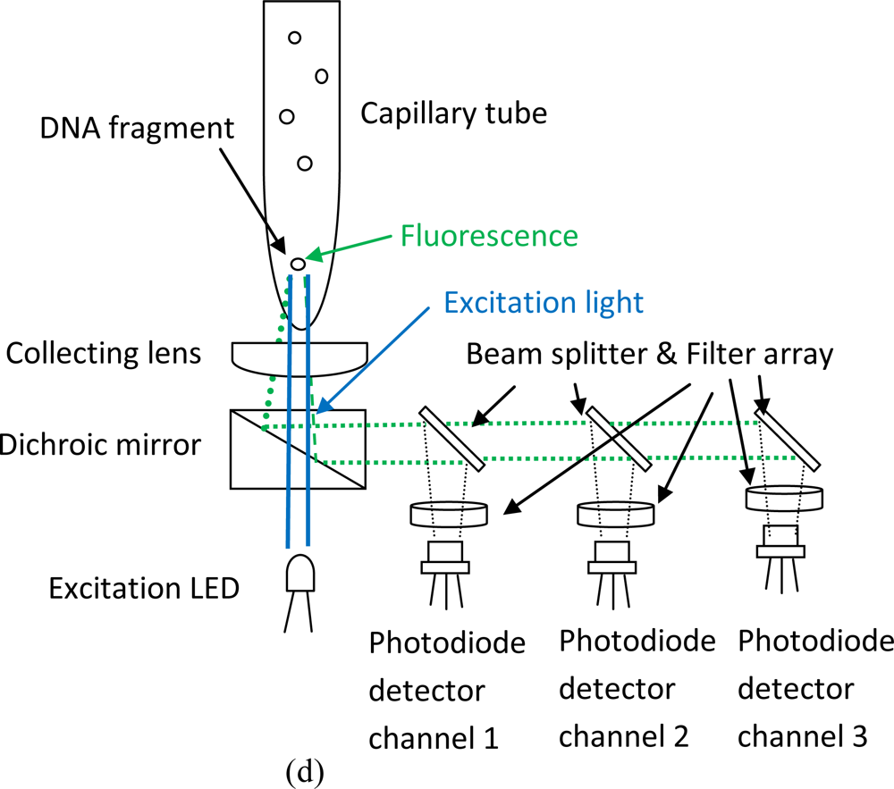 Chip-Oriented Fluorimeter Design and Detection System Development for ...