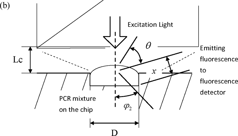 Chip-Oriented Fluorimeter Design and Detection System Development for ...