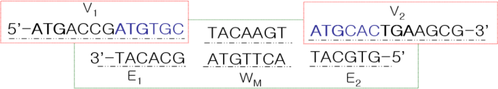 An Evolution Based Biosensor Receptor DNA Sequence Generation Algorithm