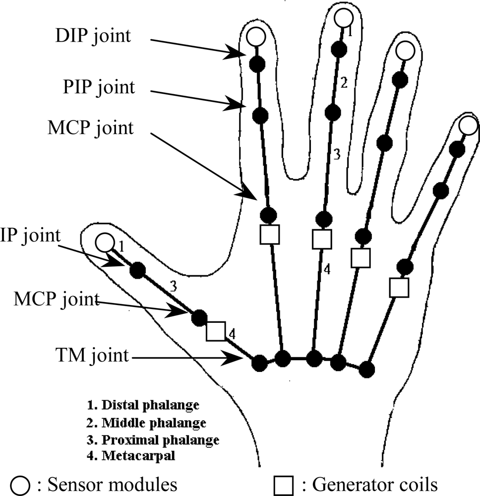 Development of a Fingertip Glove Equipped with Magnetic Tracking Sensors