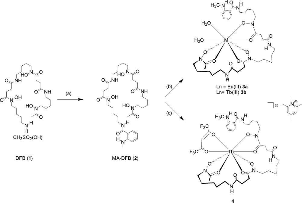 A Lanthanide-Based Chemosensor for Bioavailable Fe3+ Using a ...