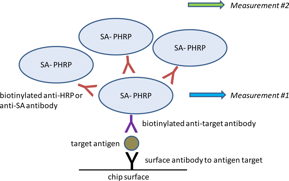 Multiplexed Electrochemical Detection of Yersinia Pestis and ...