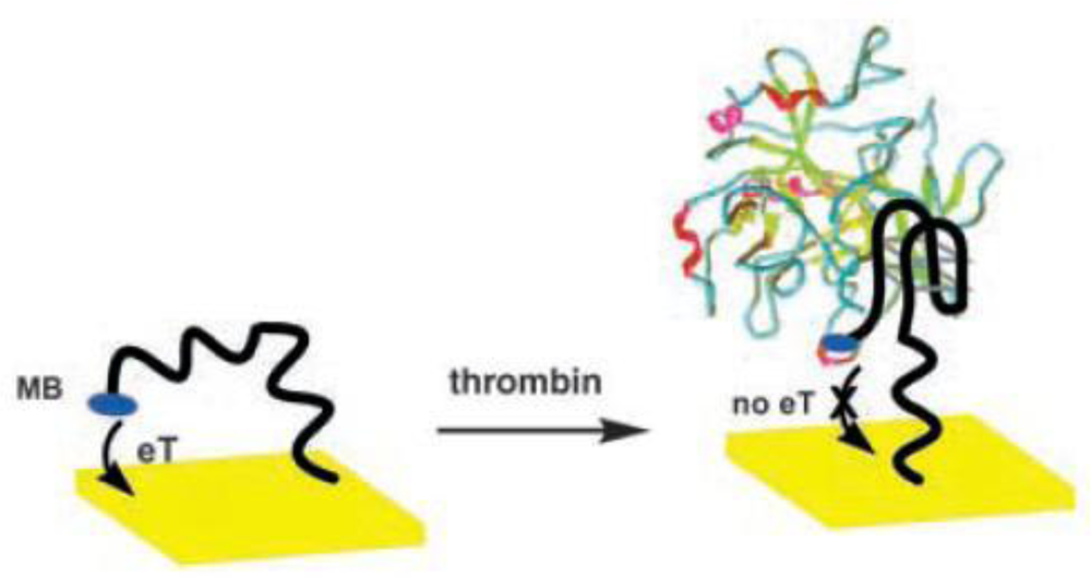 Design Strategies for Aptamer-Based Biosensors