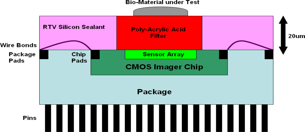 Sensors | Free Full-Text | Low Light CMOS Contact Imager with an ...