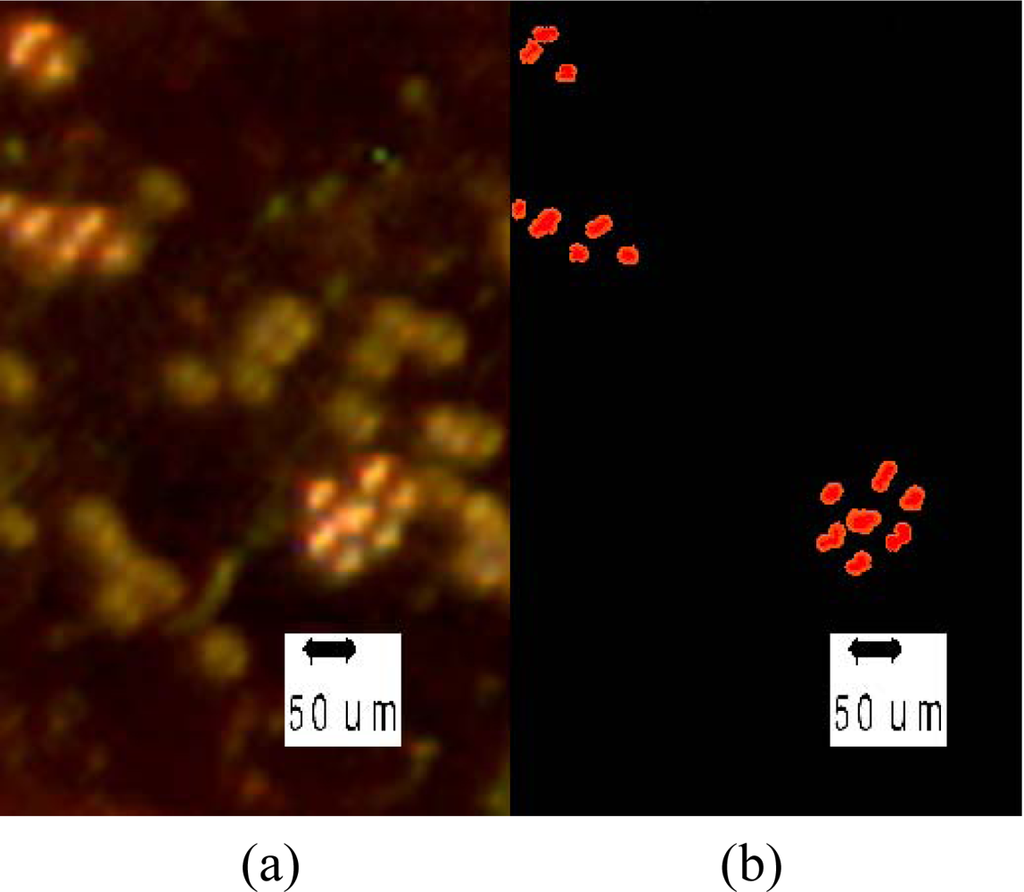 Low Light CMOS Contact Imager with an Integrated Poly-Acrylic Emission ...