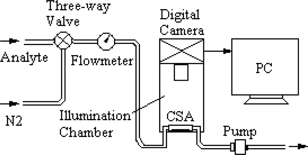 A Colorimetric Sensor for Qualitative Discrimination and Quantitative ...