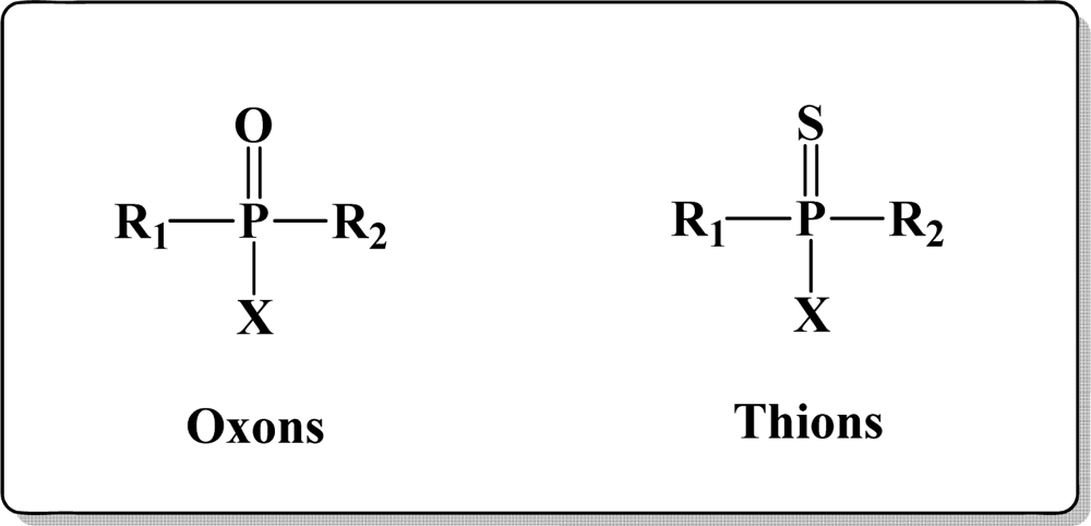 Fluorescent Chemosensors for Toxic Organophosphorus Pesticides: A Review