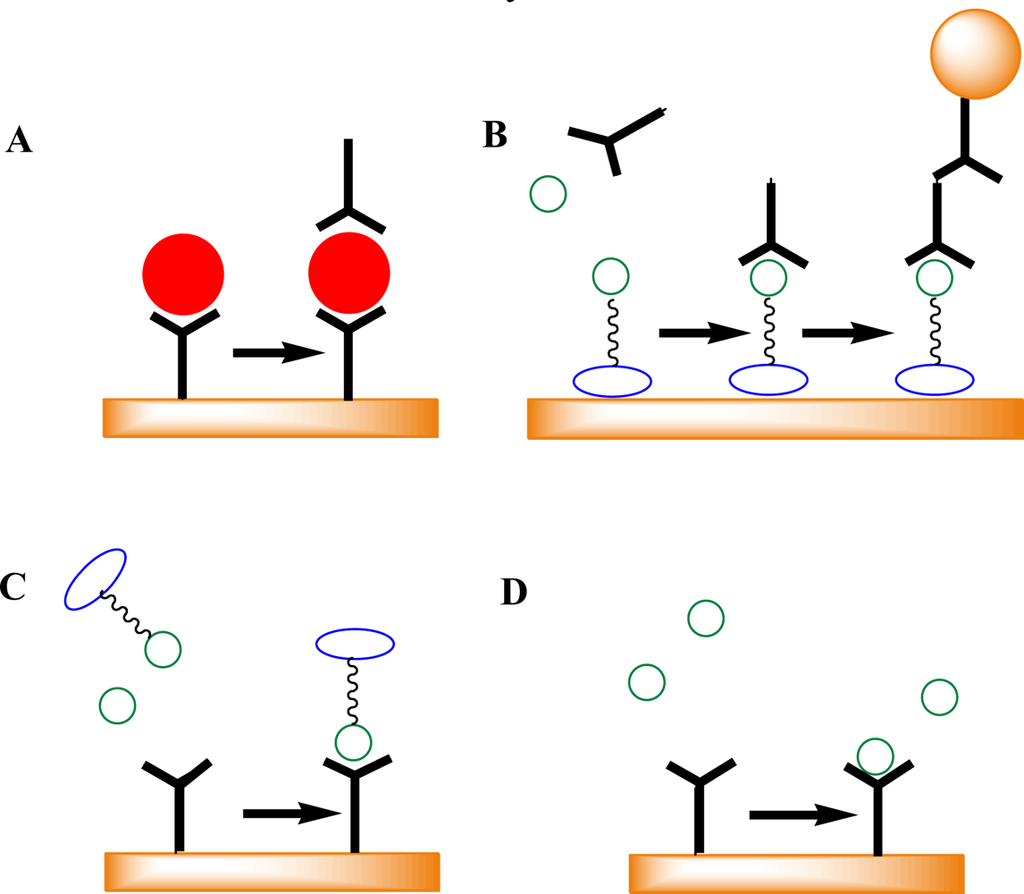 Sensors | Free Full-Text | Small Molecule Immunosensing Using Surface ...