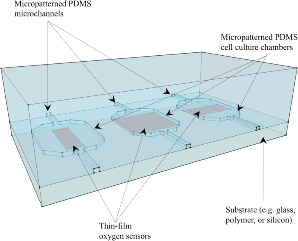 Optical Oxygen Sensors for Applications in Microfluidic Cell Culture