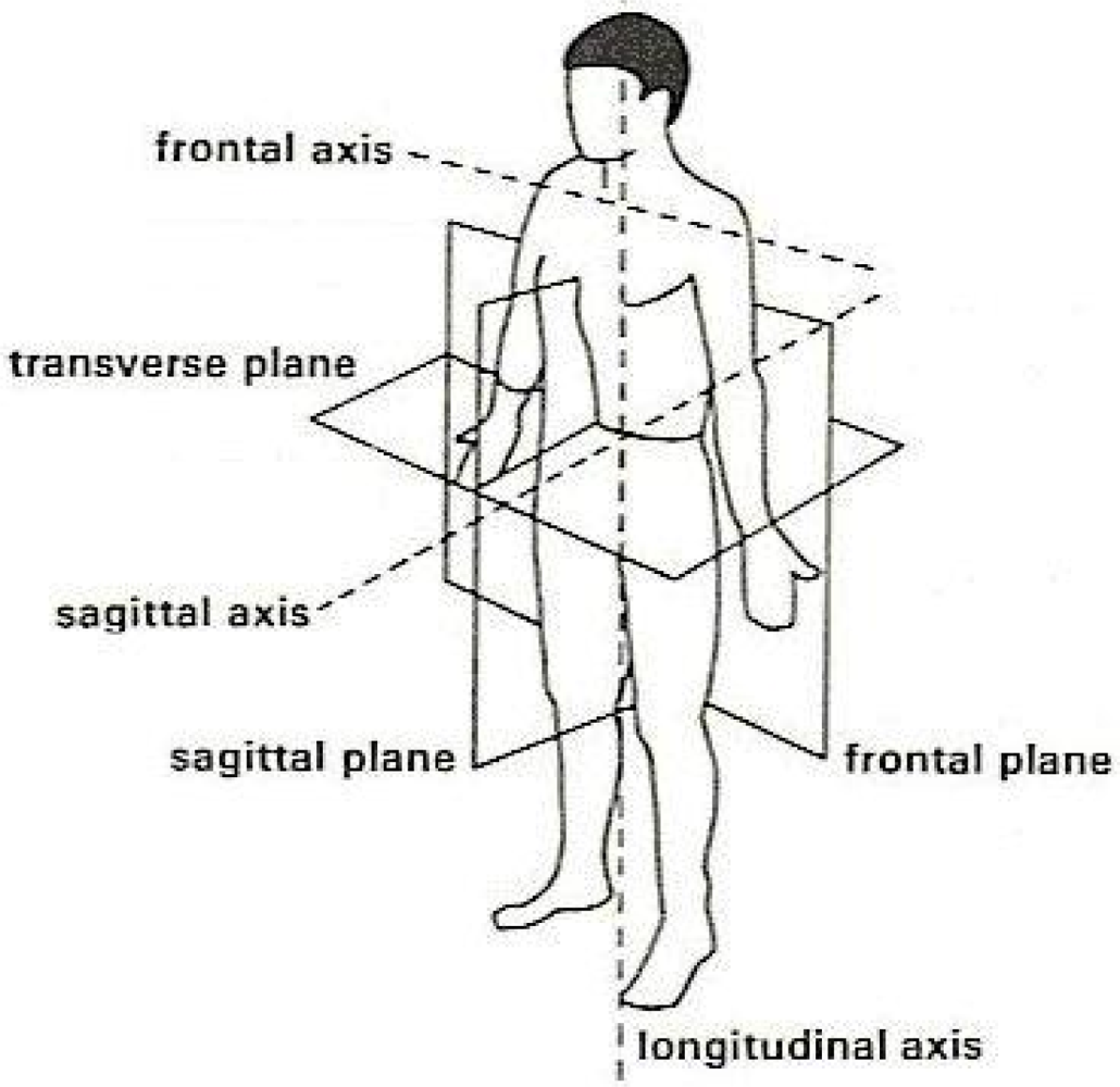 Sensors Free Full Text Goniometer Crosstalk Compensation For Knee sensors-free-full-text-goniometer-crosstalk-compensation-for-knee