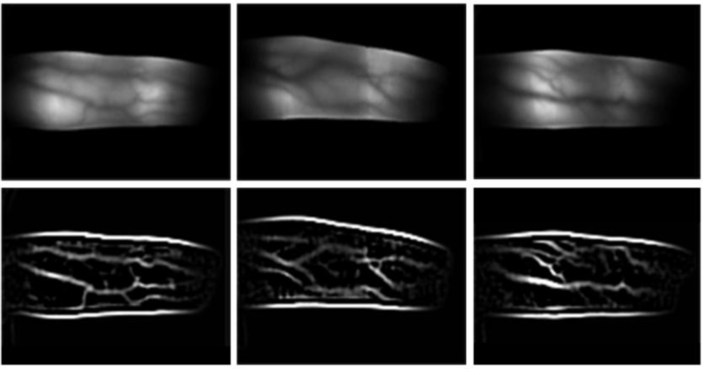 New Finger Biometric Method Using Near Infrared Imaging