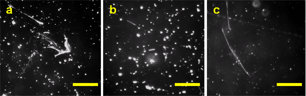 Automated Counting of Airborne Asbestos Fibers by a High-Throughput ...