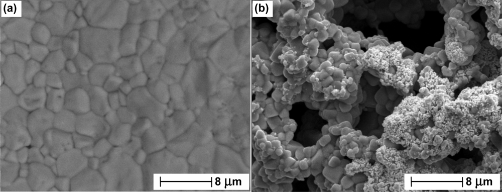 Sensitivities of Key Parameters in the Preparation of Silver/Silver ...